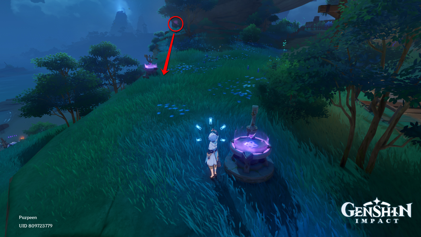 How to Solve Lightning Strike Probe Puzzles in Genshin Impact - Player ...