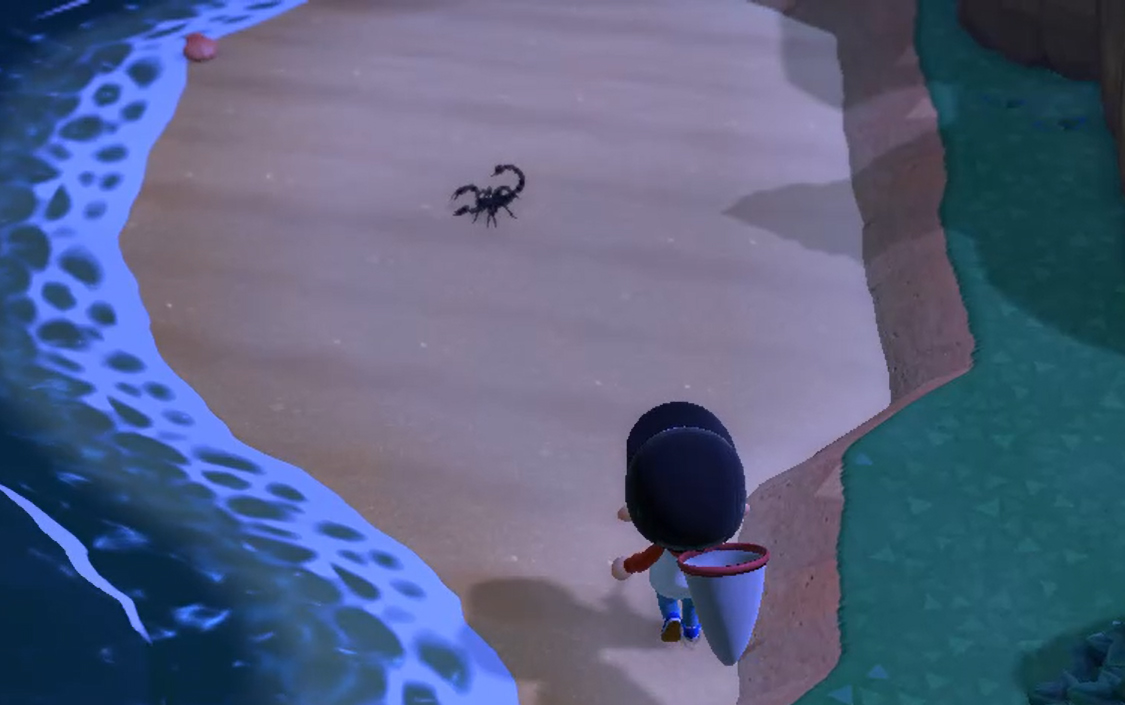 How to Catch Scorpions in Animal Crossing New Horizons - Player Assist ...