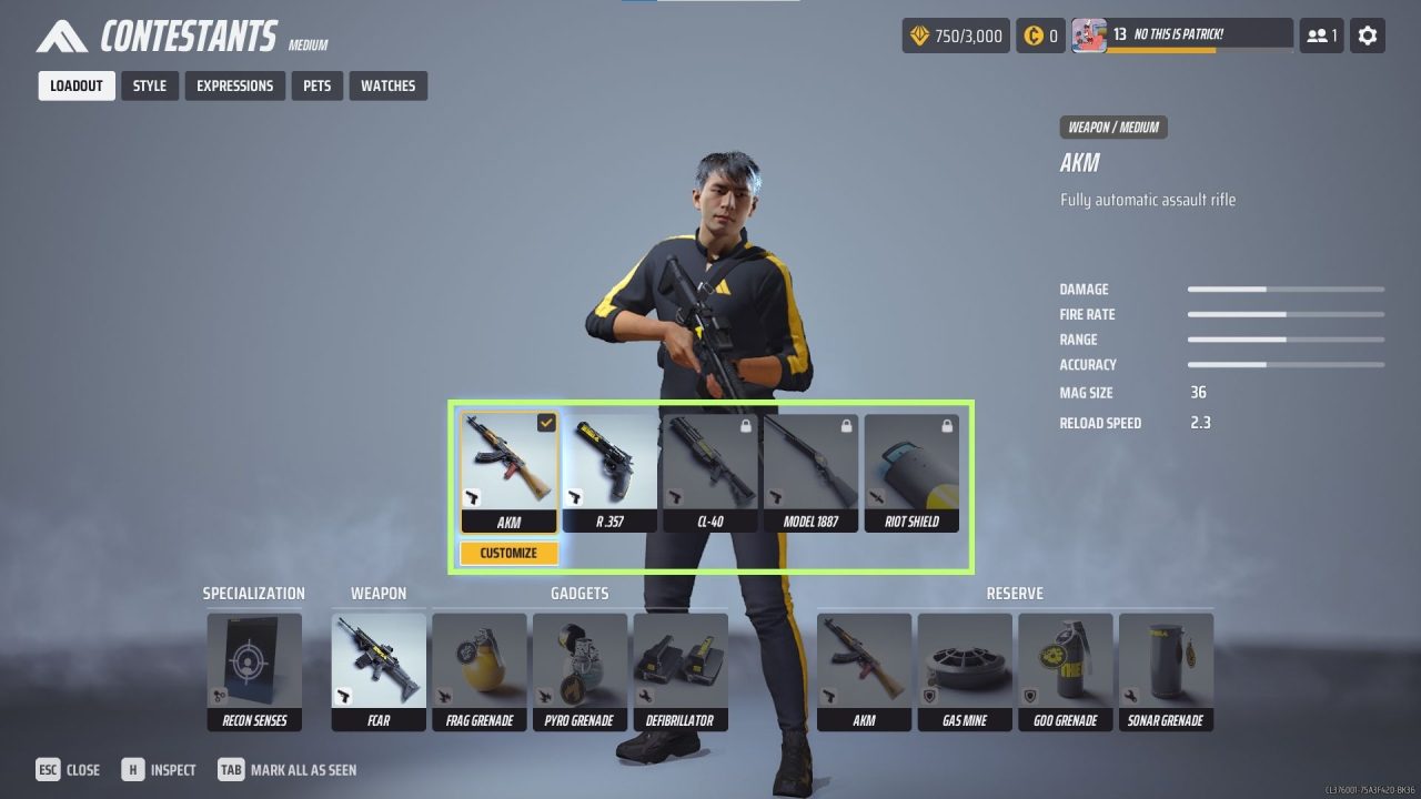 How To Equip Skins in The Finals - Player Assist | Game Guides ...